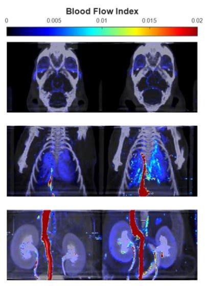 new turn table micro ct scanner for perfusion imaging quantitative