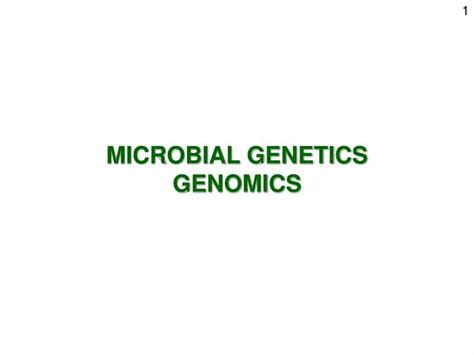 Ppt Microbial Genetics Genomics Powerpoint Presentation Free