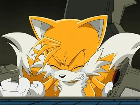 Hedgehogs Cant Swim Sonic X Episode 325 A Fearless Friend