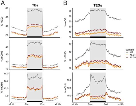 Figures And Data In A New Role For Histone Demethylases In The