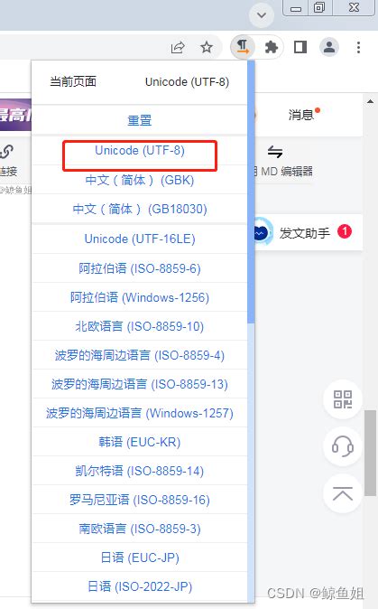解决rabbitmq Trace显示中文乱码问题，附最新版v055charset插件charset插件 最新 Csdn博客