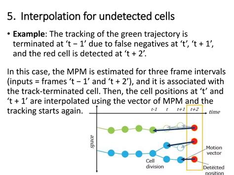 motion and position map in cell tracking for bioimaging pptx