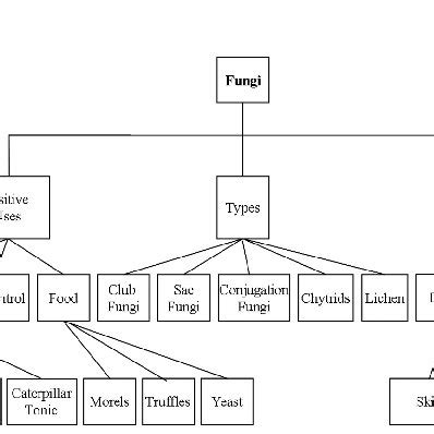 The Spatial Hierarchical Navigation Tool Download Scientific Diagram