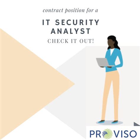 It Security Analyst Cybercrime Proviso Consulting