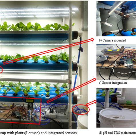 Practical Automated Vertical Hydroponic Setup Along With The Camera Download Scientific