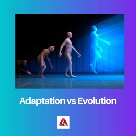 Adaptation Vs Evolution Difference And Comparison