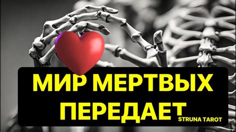 МИР МЕРТВЫХ ПЕРЕДАЕТ ️ ️ ️🔥 - YouTube