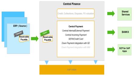 Central Payment And Clearing Options In Central Fi SAP Community