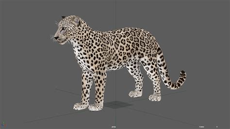 3d Animated Leopard Turbosquid 1972095