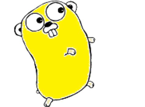 Top 50 Go Language Interview Questions And Answers Learnxyz