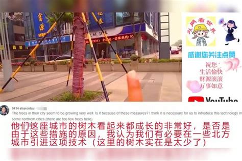 老外印度博主介绍我国绿化措施印网友酸了肯定没有我们自然生长的好