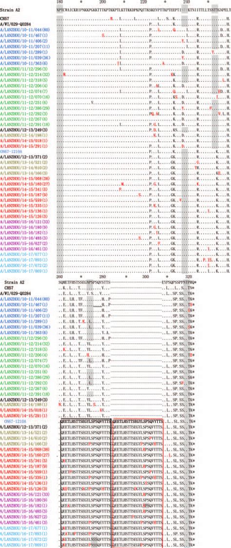 Alignment Of Deduced Amino Acid Sequence Of The G Protein Of Rsv A