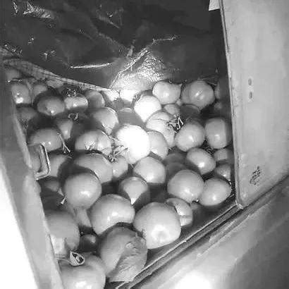 无语丨夜深人静一男子打车到四季鲜市场偷柿子 王法 西红柿 银川