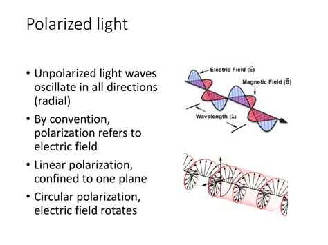 Bi Be 177 Principles Of Modern Microscopy Ppt Download