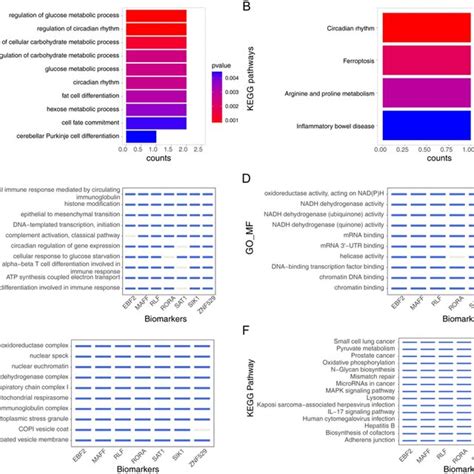 Wgcna Analysis Was Used For Screening The Modules Genes That Related To
