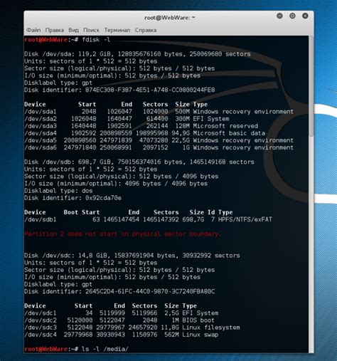 Подключение дисков Windows в Kali Linux Решение проблемы с ошибкой The Disk Contains An