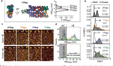 Figure 2 From Rational Design Of Dna Actuated Enzyme Nanoreactors