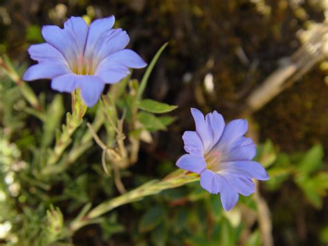 2025 Ipho Camp 暑期物理研習營 第六次線上題目 第六次的線上題目出爐囉！ 這次是iphoc 最終章！ 另外本營隊報名到下週結束，各位報名學員要趕快開始寫題目了喔～有