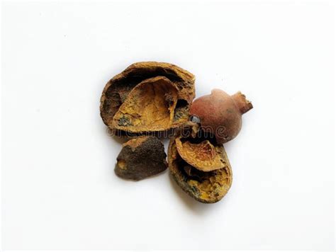 Dry Pomegranate Punica Granatum Peel Stock Image Image Of Pieces Dehydrated 264383875