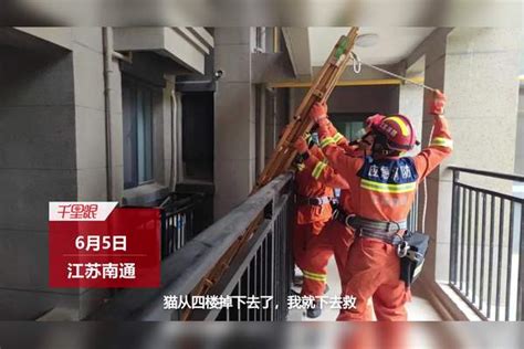 【江苏】猫咪从四楼坠下男子施救未果被困天井男子天井猫咪