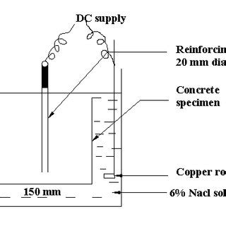 Accelerated Corrosion Test Setup Download Scientific Diagram