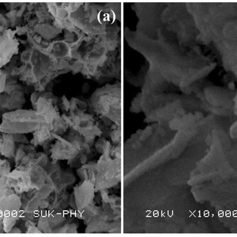 Ftir Spectra Of Synthesized Cevo4 Nanoparticles Download Scientific Diagram