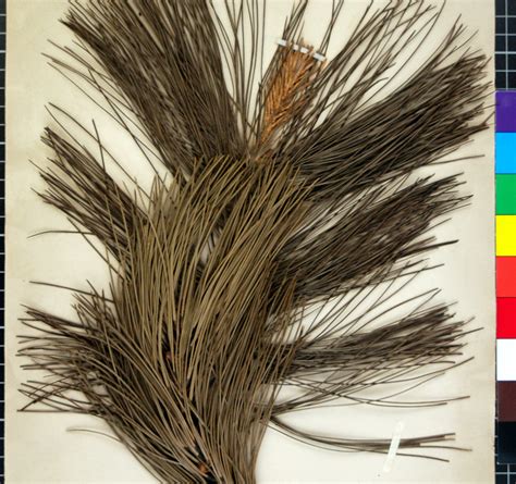 Ebbe Stub Wittrup Copenhagen Contemporary