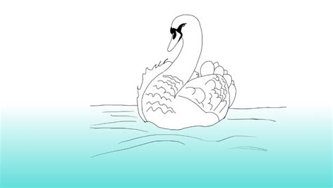 How To Draw A Swan