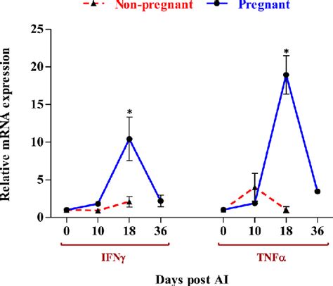 Relative Mrna Expression Of Pro Inflammatory Cytokines Ifnγ And Tnfα