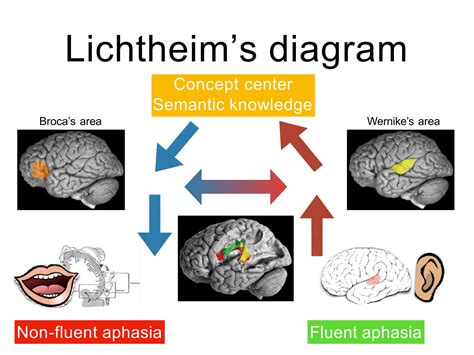 Higher Cortical Functions Examination 4may2020 Pptx