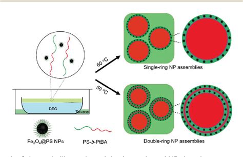 Figure 1 From Circular Assembly Of Colloidal Nanoparticles At The Liquid Air Interface Mediated