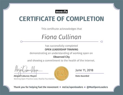 Mozilla Open Leaders Youre In Now What Fiona Cullinan