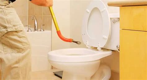 11 Trucos Para Destapar Un BaÑo Facil Y Rapido
