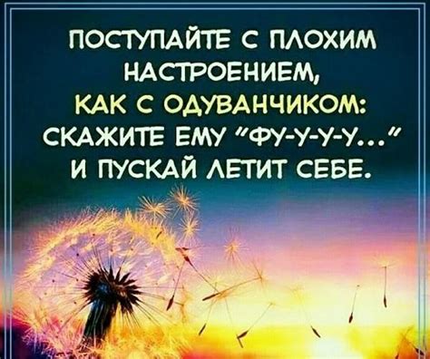 Картинки с цитатами и высказываниями