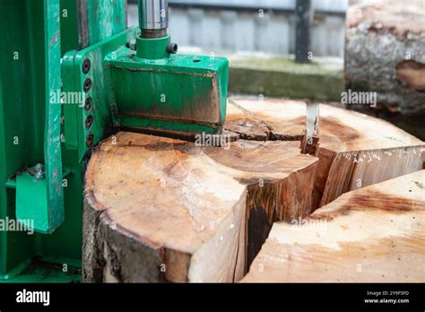 Hydraulic Wood Chopper Splitting A Big Tree Stump Stock Photo Alamy