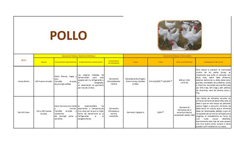 Tabla de pollo Resumen Manejo y Cocción de Aves y Carnes POLLO RAZA