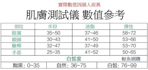 正版現貨皮膚檢測儀測試儀 白皙度肌膚臉部水份油份彈性檢查 美容儀器 測膚筆 肌膚測試儀 膚質測試儀 敷臉測試 鯨魚網購 露天市集 全