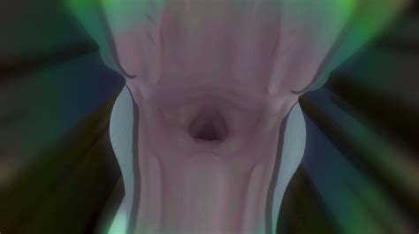 Snake Hypnosis And Vore Pov