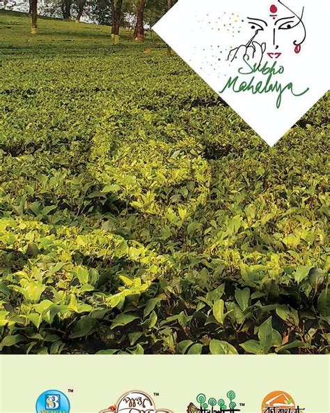 শুভ মহালায়া Farmland Outdoor Vineyard