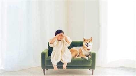 柴犬りんご郎 On Twitter 素敵なインタビュー記事を書いて頂けました 柴犬さんとの暮らしで楽しい事や大変な事、りんご郎を迎えた