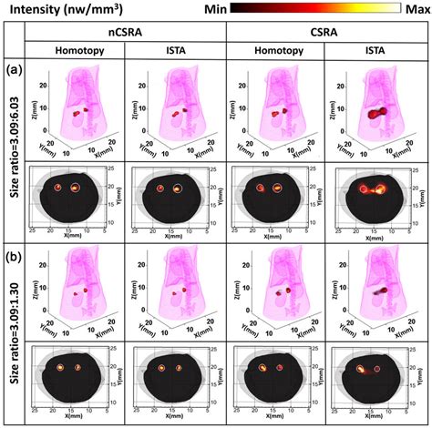 Reconstruction Results In Size Resolution Experiments A B Download Scientific Diagram