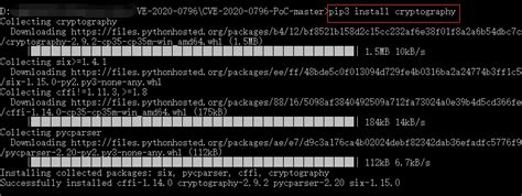 Vulnerability Windows CVE Programmer Sought