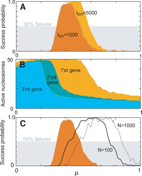 Model Sensitivity To Activation Bias Parameter μ For Genes L 50