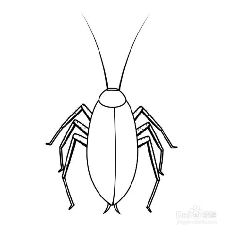 蟑螂画法简笔画 蟑螂简笔画画法 伤感说说吧