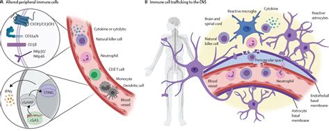 Emerging Insights Into The Complex Genetics And Pathophysiology Of