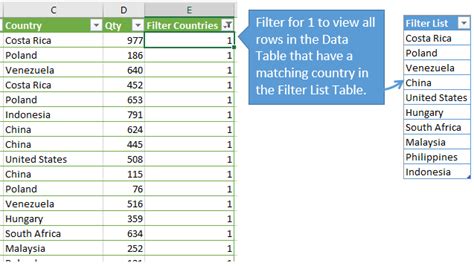 Ways To Filter For List Of Items In Excel Video Tutorial Excel Campus