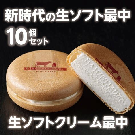 アフィリエイト広告【ふるさと納税】生ソフトクリーム最中 送料無料 10個 二冠達成 Menchaホームページのブログ（アフィリエイト用
