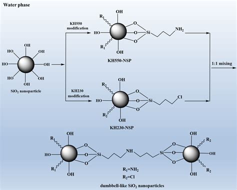 schematic illustration of the preparation process of dumbbell like sio2