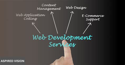 what services are provided by a web developer aspired vision