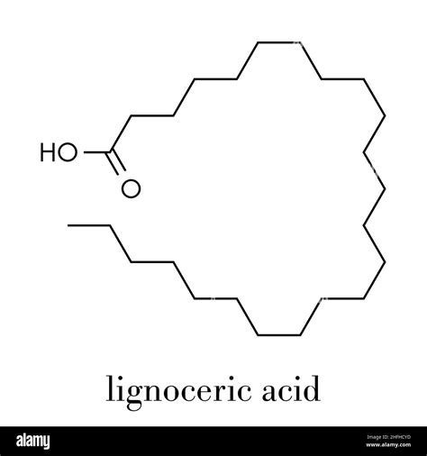 Lignoceric Tetracosanoic Acid Molecule Saturated Fatty Acid Skeletal Formula Stock Vector